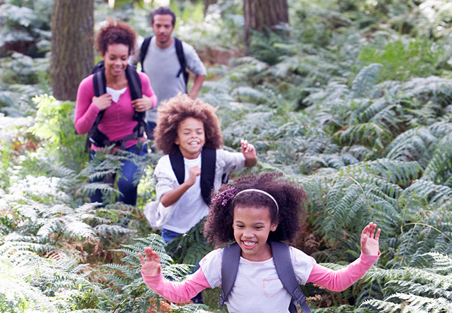 Bimbo Bakeries USA Benefits | Home